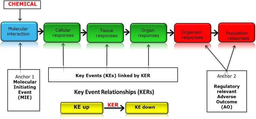 Exploring QSAR Modeling for Adverse Outcome Pathways: A Comprehensive ...
