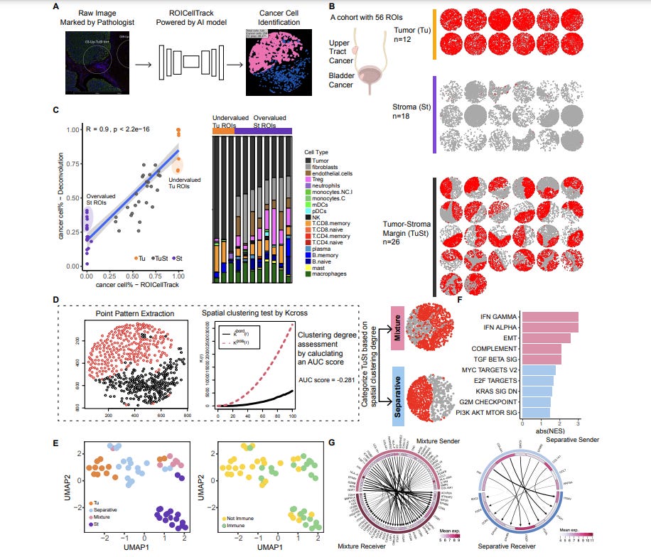 Utility Of Cellular Imaging Modality In Subcellular Spatial Transcriptomic Profiling Of Tumor